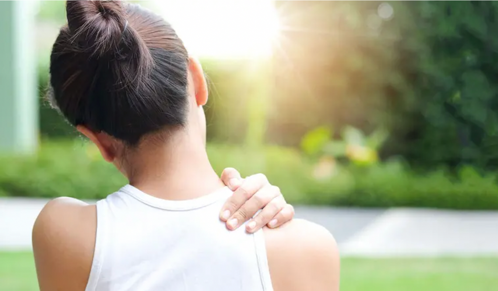 Nature's Aspirin For Muscle Pain– The Physic Garden